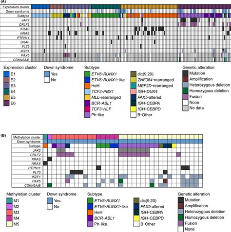 Relations Of Gene Expression Dna Methylation And Genomic Status A