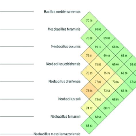 Heatmap Generated With Orthoani Values Calculated Using The Oat