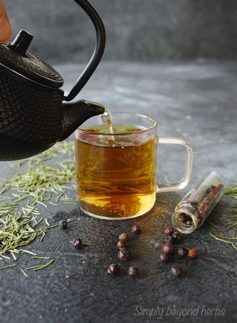 How To Make Juniper Berry Tea Simplybeyondherbs