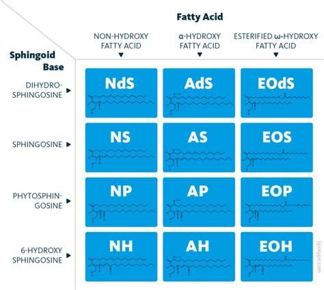 Skin Pigmentation And Ceramide Content Ceramide Analysis Of The