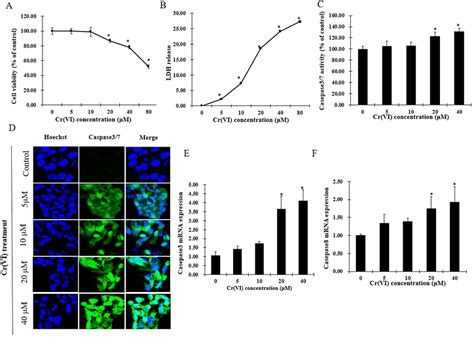 Hexavalent Chromium Cr Vi Induces Cytotoxicity And Cell Death Of Download Scientific Diagram