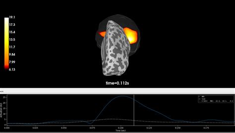 BUG Mne Viz Brain Volume Rendering Doesn T Show Up Issue 10519