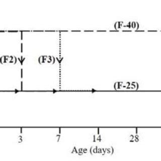 Relationship Between Flexural Strength And Flexural Modulus Download