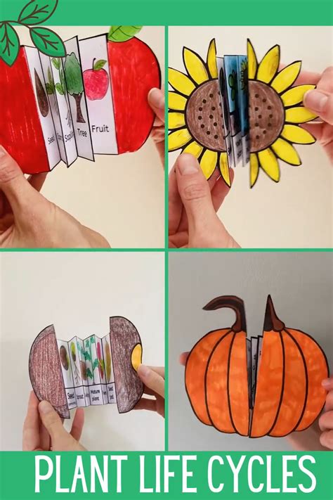 Water Cycle Model Using Paper Plate Science Project Diy Howtofunda