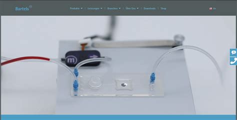 Different Header On Website And Shop Exported And Imported A Template