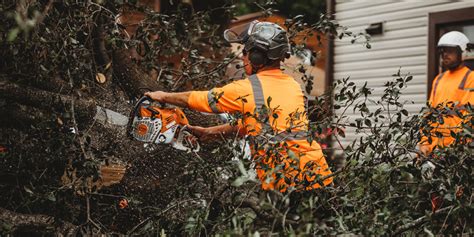 5 Common Pruning Mistakes And How To Fix Or Avoid Them