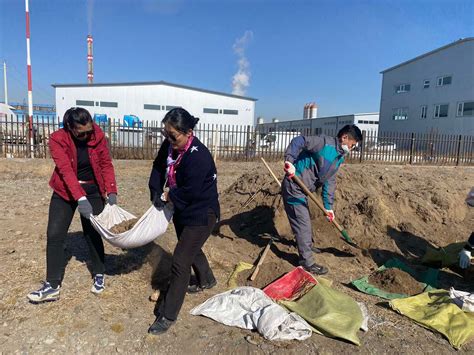 🌲 “Тэрбум мод” үндэсний Баянгол цэцэрлэгт хүрээлэн