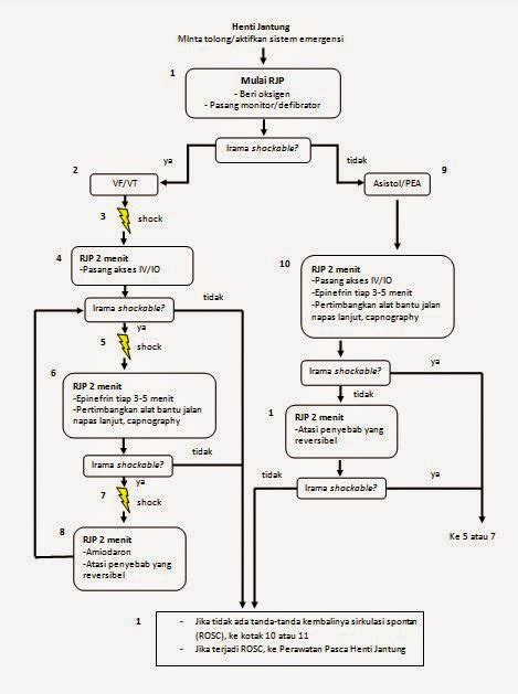 Dokterku On Line ALGORITMA ACLS