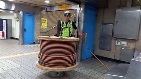 Human Pose Keypoint Detection Dataset By Humantest