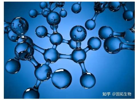 溶菌酶是什么？ 知乎