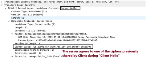 Step By Step Ssl Handshake With Wireshark Middlewareexpert