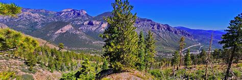 Fletcher View Ridge Mt Charleston Wilderness Nevada Las Vegas Area Trails