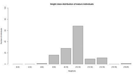 Height Class Distribution Of Mature Individuals Download Scientific Diagram