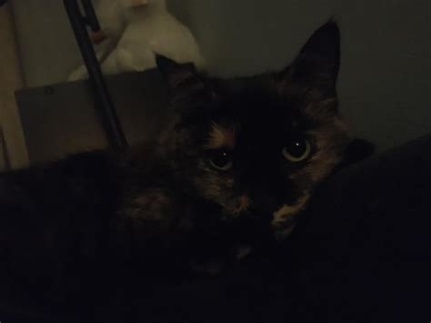 She Knows Shes Cute R Disneyeyes