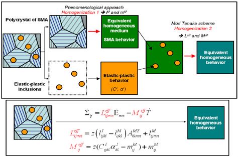 Homogenization Strategy Leading From Sma Polycrystalline Matrix With Download Scientific
