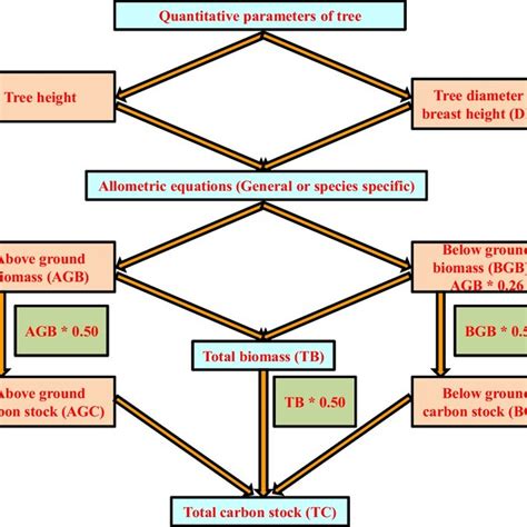 Advance Methodological Approaches For Carbon Stock Estimation In Forest Ecosystems Request Pdf