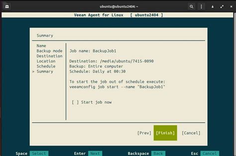 How To Download And Install Veeam Agent For Linux Linuxshout