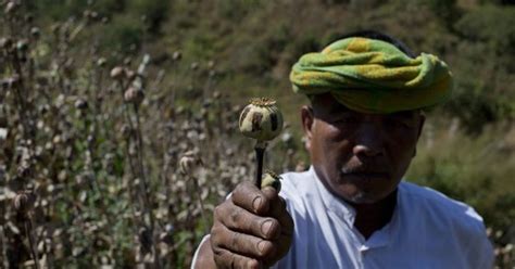 요즘 마약은 여기에서…미얀마 아프가니스탄 제치고 세계 최대 아편 생산국