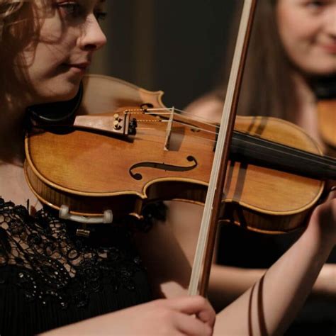 The Complete Violin String Chart Teds List