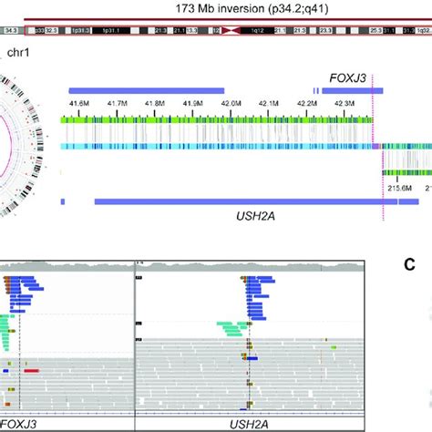 genome sequencing reanalysis reveals 30 previously overlooked