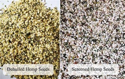 Industrial Hemp Seed Processing Equipment For Sale 300 Kgh