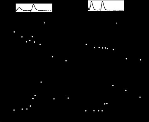 Short Term Synaptic Plasticity In The Dg Of Msk1 And Msk2 Ko Mice