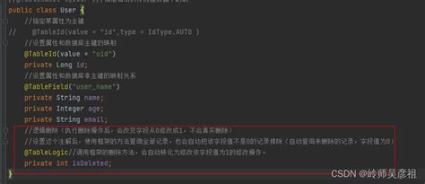 Mybatis Plus核心注解详解 Csdn博客