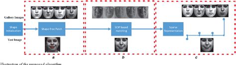 Figure 1 From Sparse Representation Based Face Recognition Against Expression And Illumination
