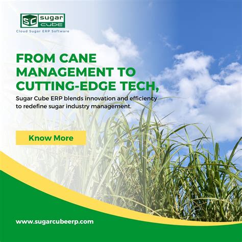 Sugar Cube Cloud Sugar Erp Software On Linkedin Sugar Cube Erp Crafting A Symphony Of