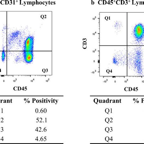 Gating Strategy Used For Analyzing Cd11b And Cd45 − Cd14 Monocyte