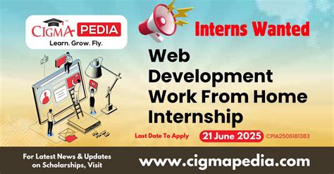 Web Development Work From Home Internship By Visible Gain How To Apply For Internship Last