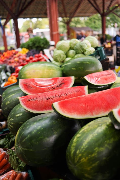 Psidium Guajava 건강한 식생활 과일 과일 시장 과일 플래터 구아바 녹색 구아바 농작물 다채로운 라틴 아메리카 말리날코 멕시코 멕시코 문화