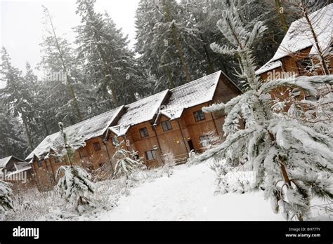 A Winter Wonderland At Centre Parcs Longleat Forest In The Snow Stock