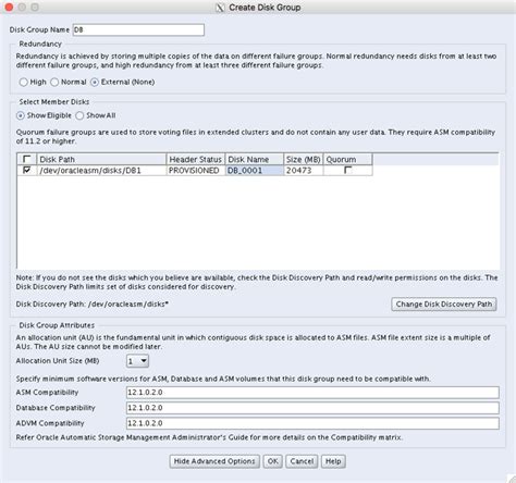 Acfs Para Banco De Dados E Flex Asm Parte Ii Oracle Brasil