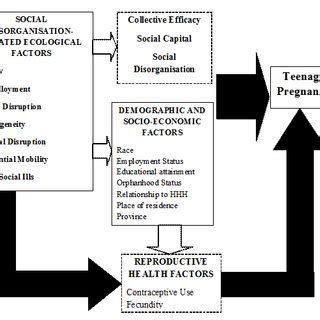 Conceptual Framework Download Scientific Diagram