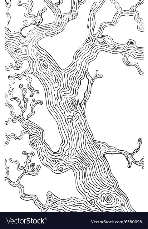 Oak Tree Branch And Trunk Royalty Free Vector Image