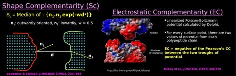Shape And Electrostatic Complementarity The Original Formulations