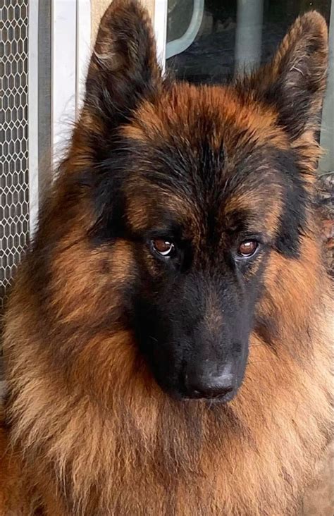 Ted E Bear Can T Come In Until I Wipe The Dirt Off Him