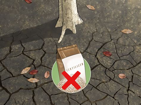 How To Water Trees With Pictures WikiHow