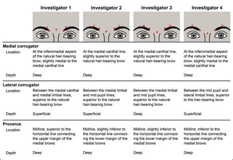 Impact Of Glabellar Injection Technique With Daxibotulinumtoxina For Injection On Brow Position