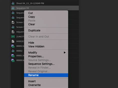 How To Rename Premiere Pro Projects Steps For Various Projects