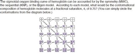 the sigmoidal oxygen binding curve of hemoglobin can be accounted for