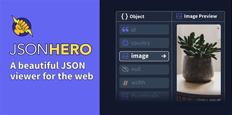 Json Hero A Beautiful Json Explorer Lets You Browse Search And Navigate Your Json Files At