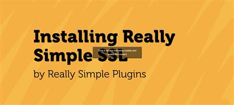 Elementor Background Video Complianz