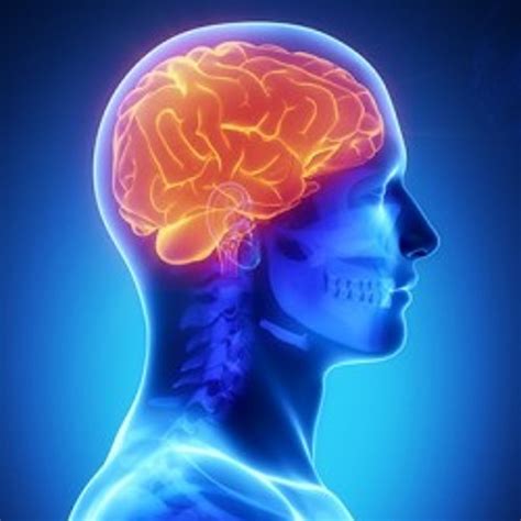 Stream Liquor Cerebrospinalis By Olson H Listen Online For Free On