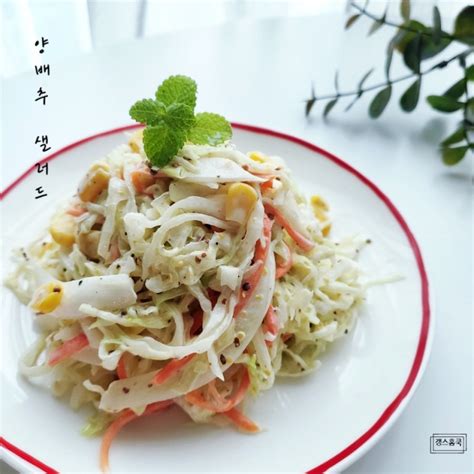 양배추 코울슬로 드레싱 만들기 양배추 샐러드 소스 만들기 네이버 블로그