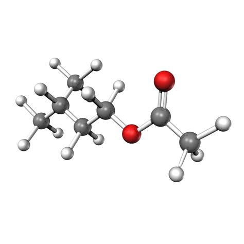 Ethyl Acetate Structure 3d