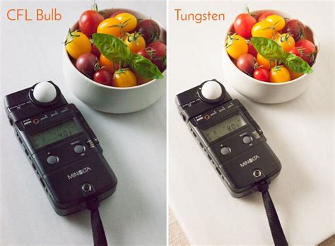 Equipment Review Artificial Light Are The Cheap Soft Boxes Any Good Food Photography