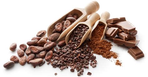 Difference Between Cacao Powder And Cocoa Powder