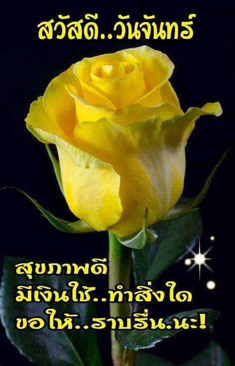 สวัสดีวันจันทร์ สวัสดีตอนเช้า ดอกกุหลาบสวยๆ อรุณสวัสดิ์